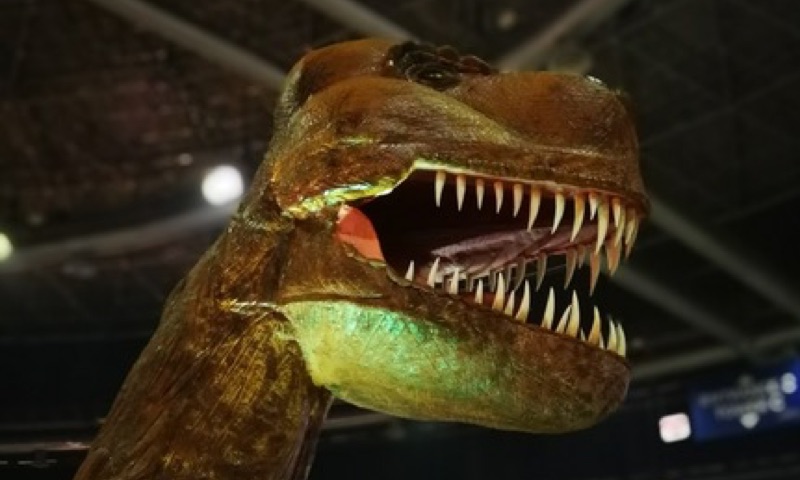 Rich Products Corporation Africa