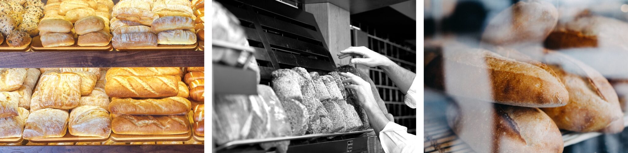 Master Artisan Breads® Merchandising - Rich Products Corporation Africa